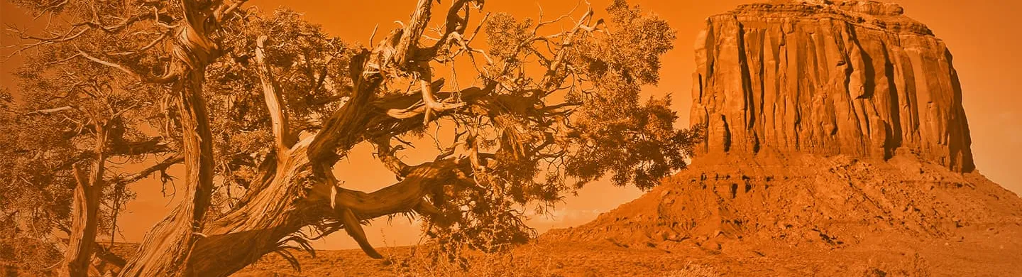 Archer 4 Rugged Handheld | Juniper Systems | Juniper Systems